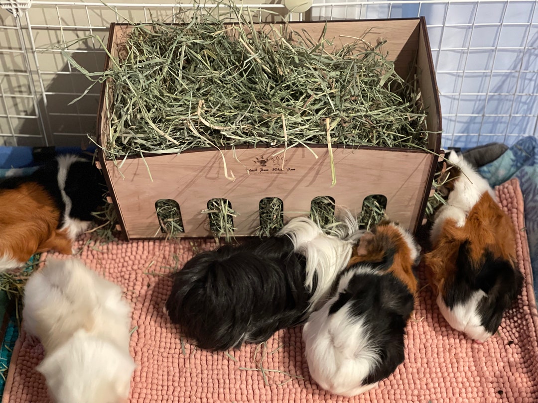 Wooden Hay Feeder / Wooden Hay Feeder With a Top - Etsy