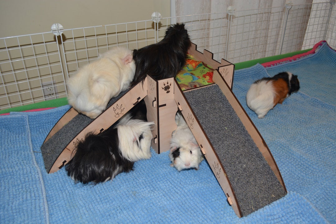 The Original - Abbie Corner With Two Ramps - Etsy