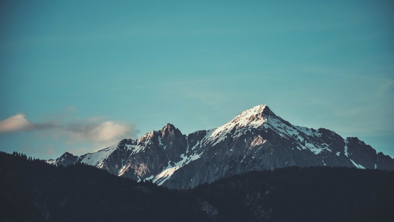 Zoom Background Pack - High Quality Zoom Background Photos for Your ...