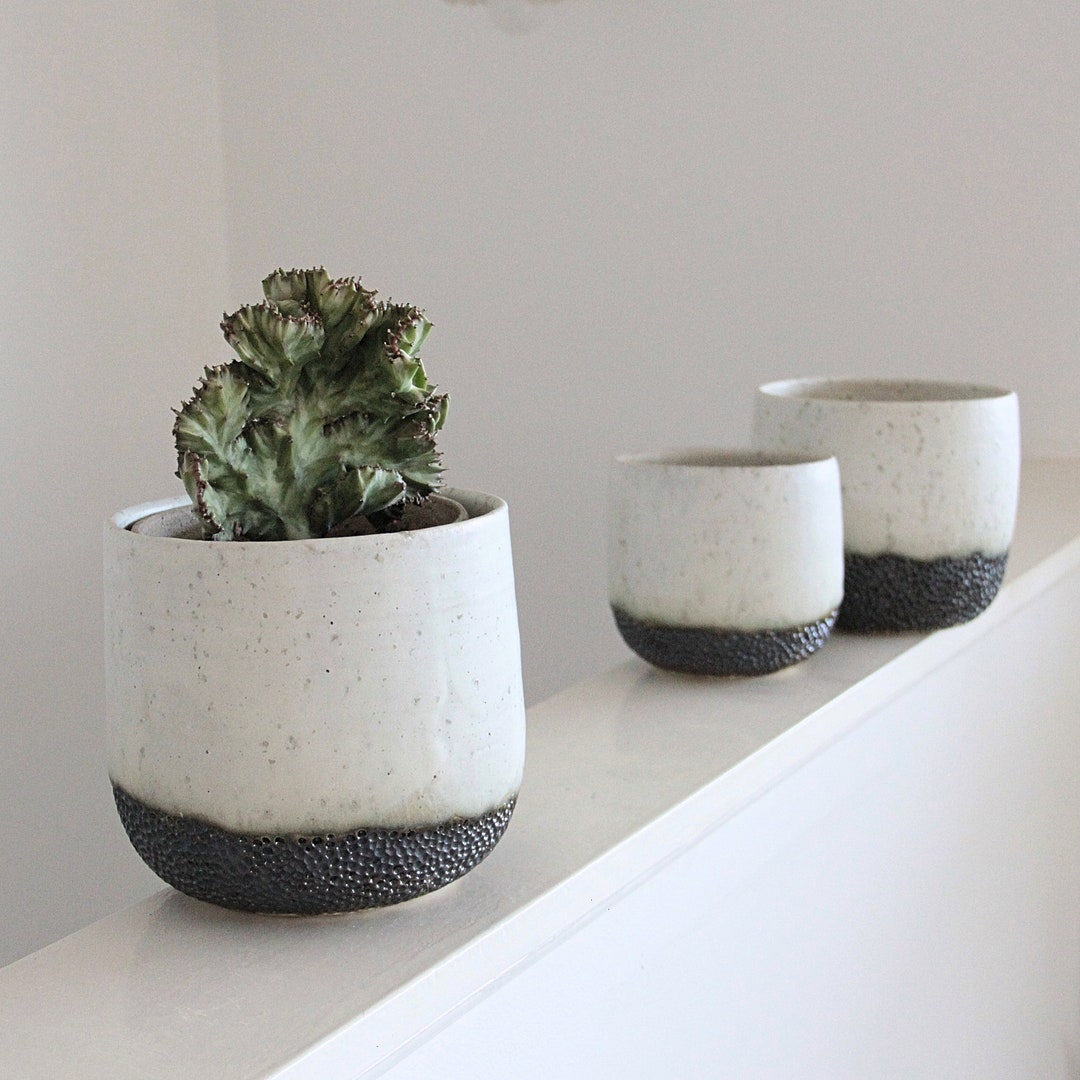 Customise Your Lava Rock Plant Pot - Etsy