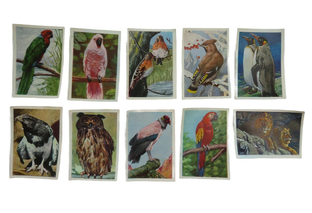 10 Old Trading Cards "the World in Pictures" Animals, Travel, Sports ...