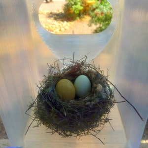 Window Bird Nest Box | Nest Watching | Open Back Bird House | Finch ...