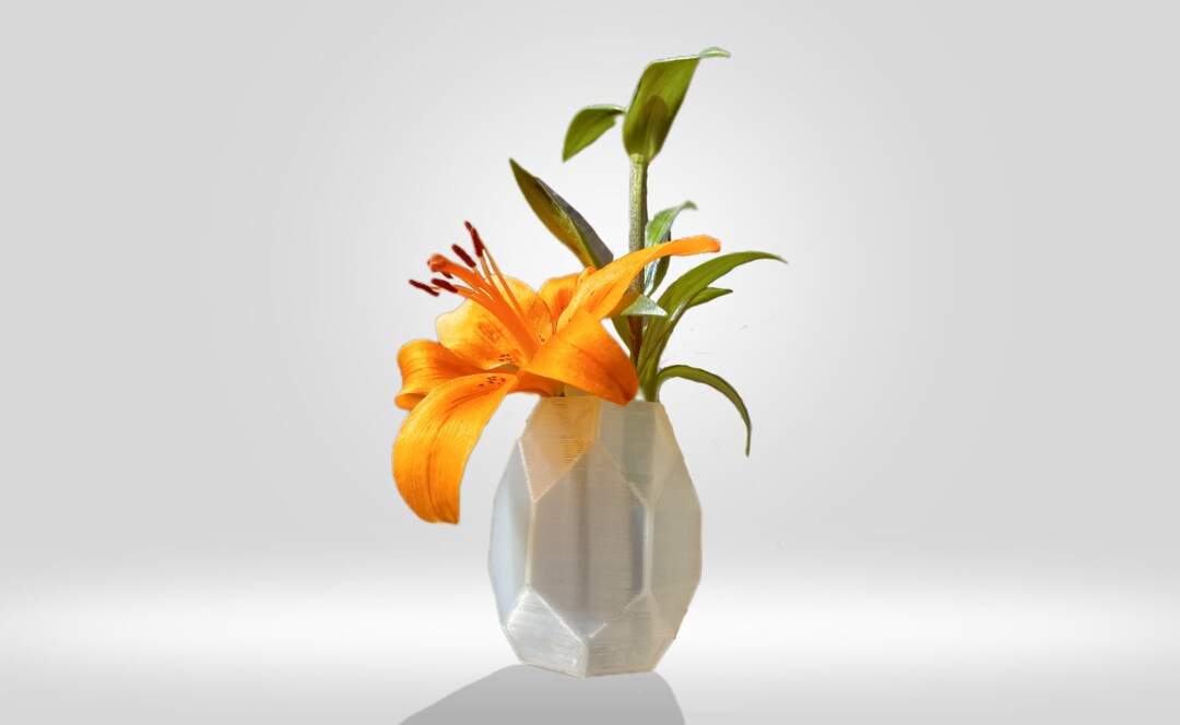 Window Planter | Suction Cups | Flower Pot | Succulents | Air Root ...