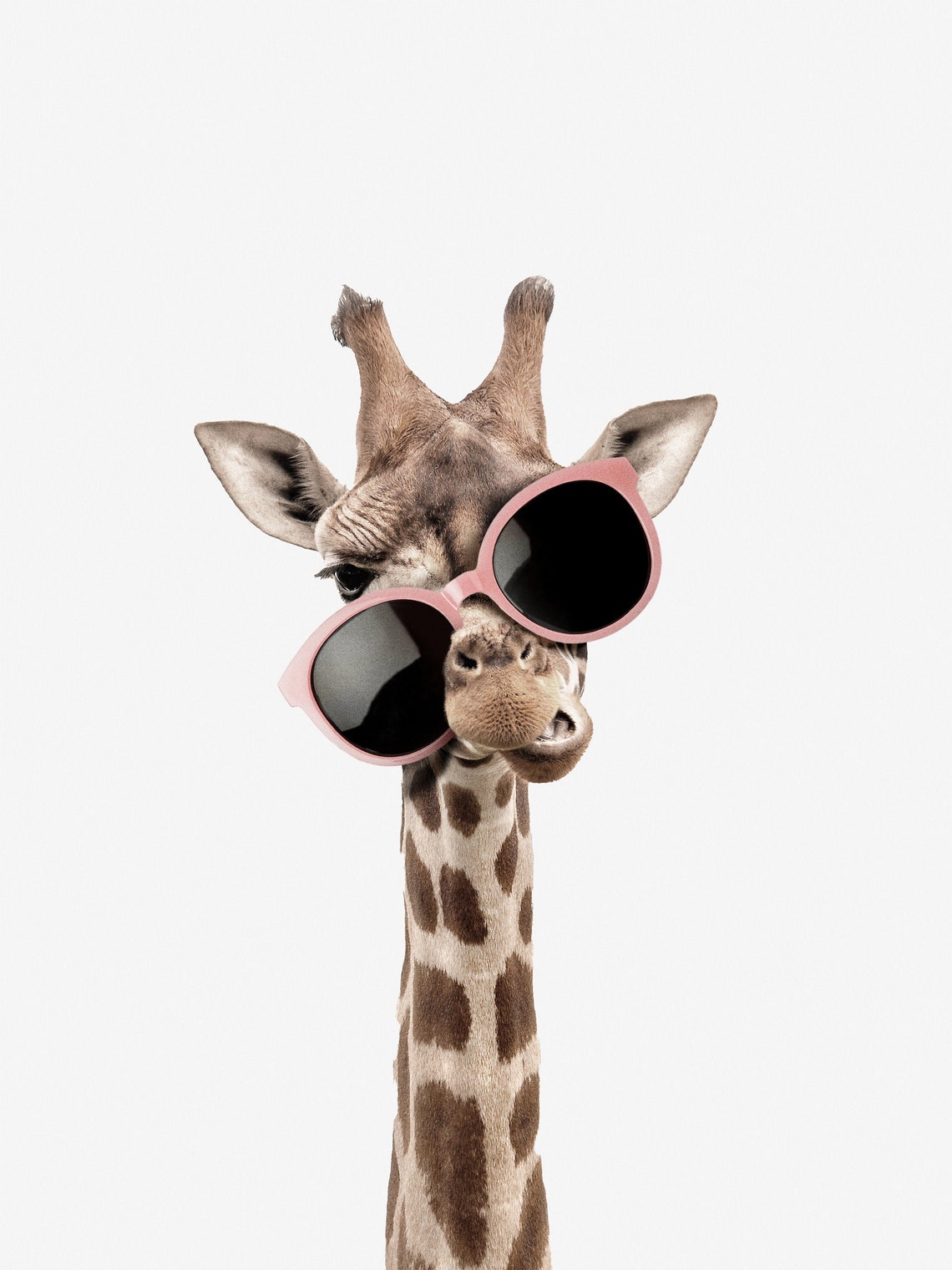 Funny Giraffe Print | Instant Download | Giraffe Wall Art | Safari ...
