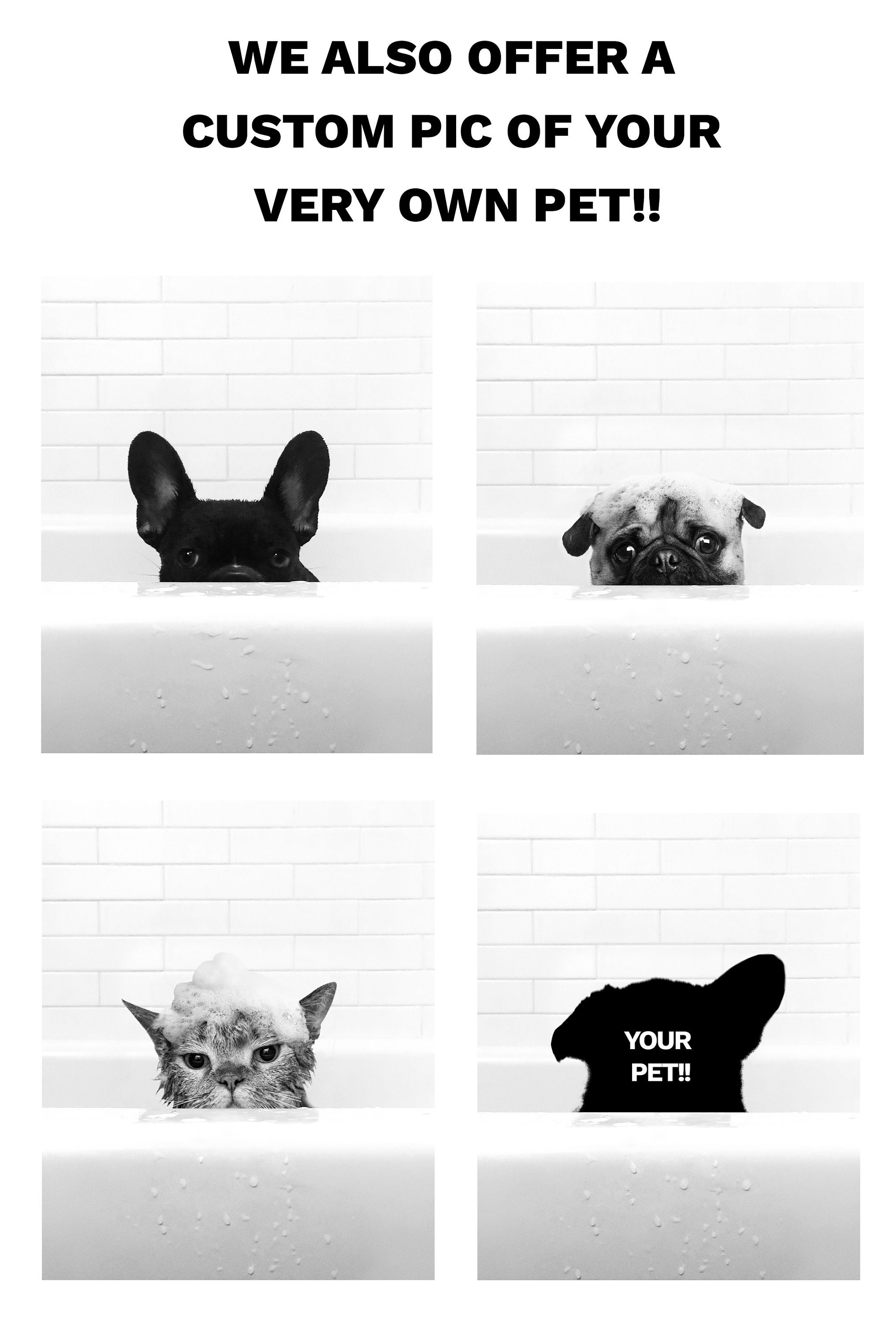 Cat Printable Wall Art Instant Download Cat Printable | Etsy