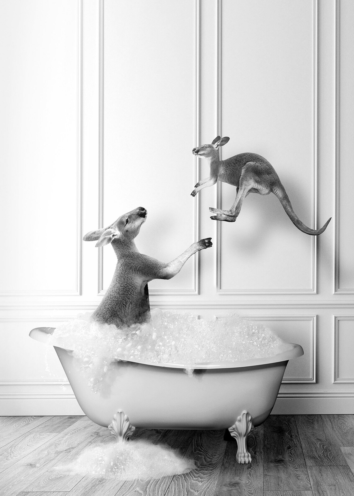 Cute Kangaroos in Tub Printable Wall Art | Kangaroo Photo | Kangaroo ...