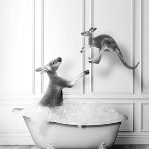 Cute Kangaroos in Tub Printable Wall Art | Kangaroo Photo | Kangaroo ...