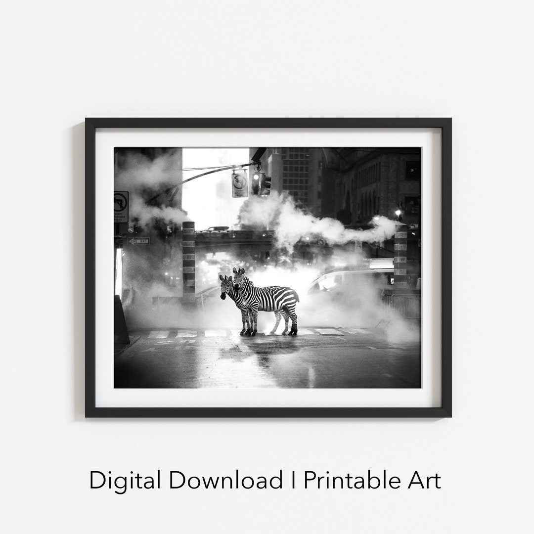 Zebra Printable Wall Art | Instant Download | Zebra Print | Zebra Photo ...