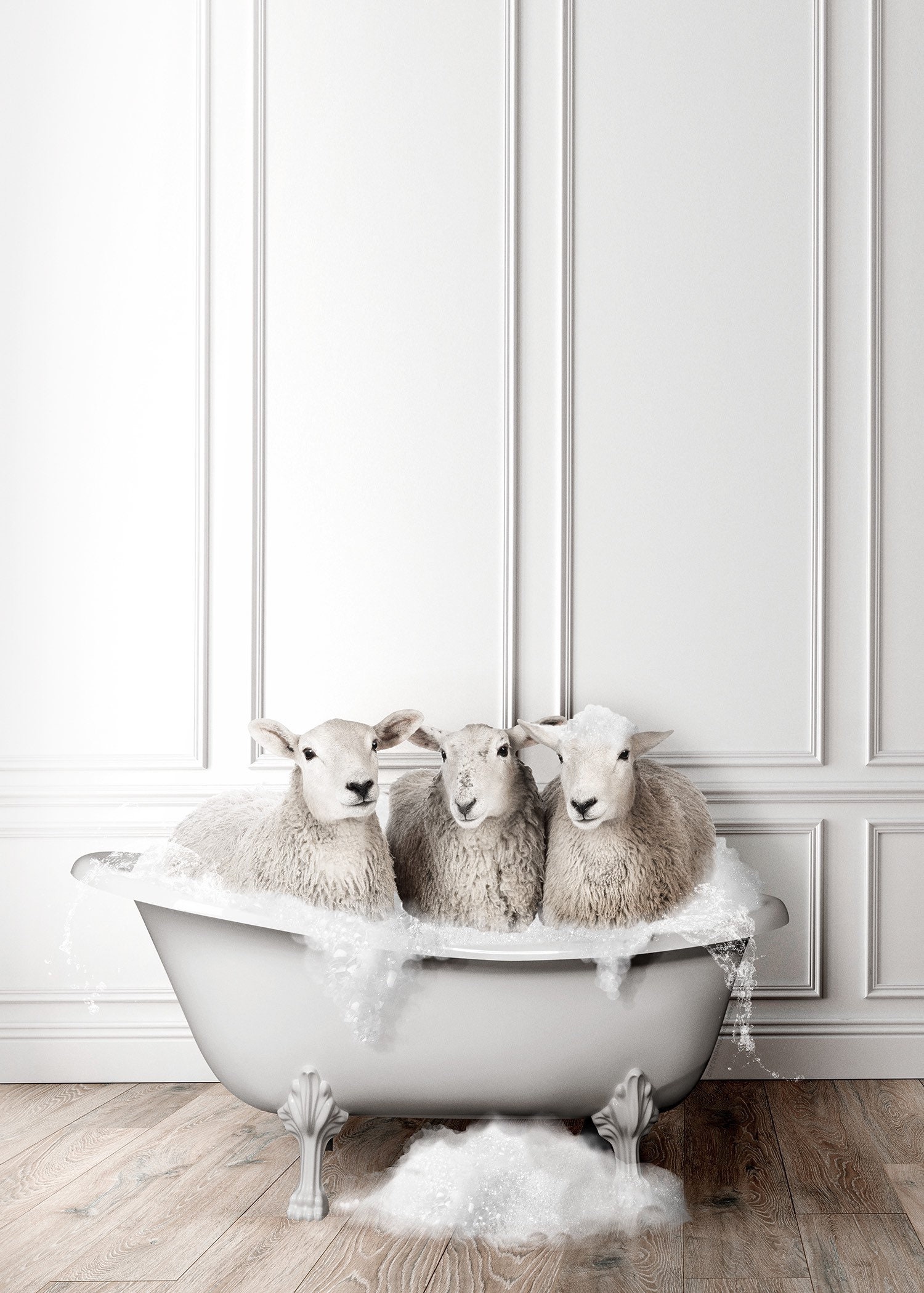 Adorable Sheep in Tub Printable Wall Art Sheep Photo Sheep | Etsy