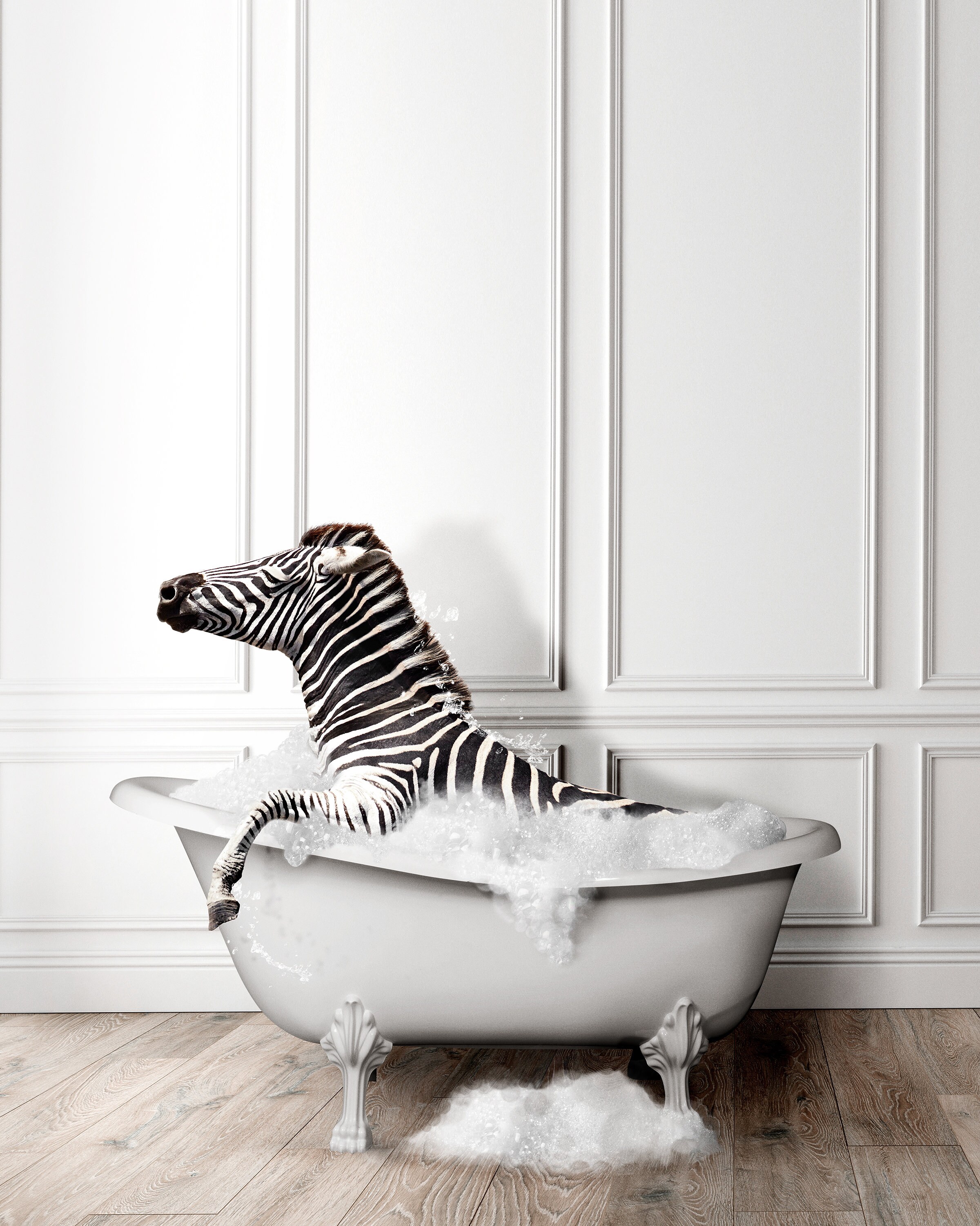 Adorable Zebra in Tub Printable Wall Art Zebra Photo Zebra - Etsy Canada