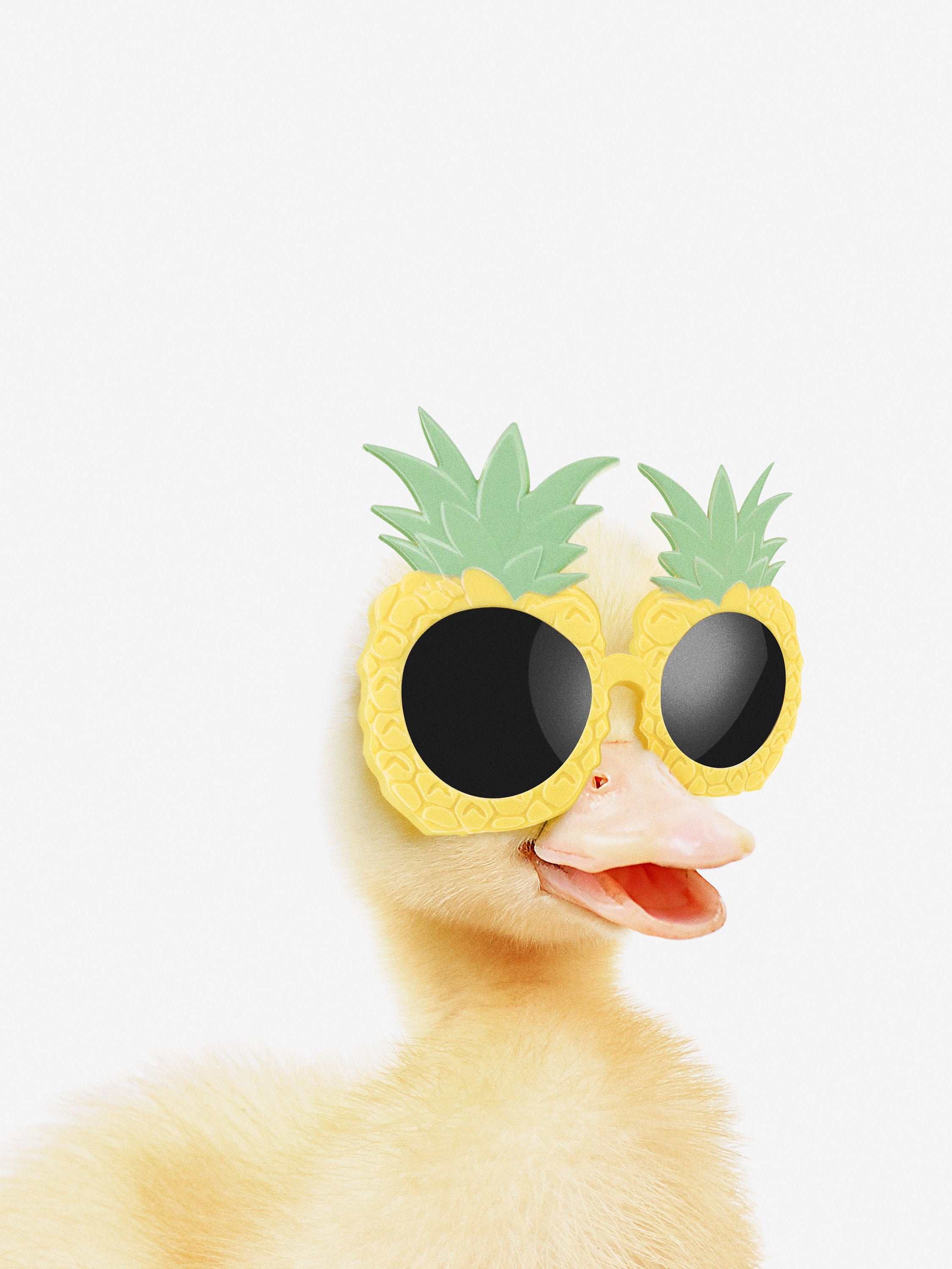 Cute Duck Print | Instant Download | Duck Wall Art | Safari Nursery ...