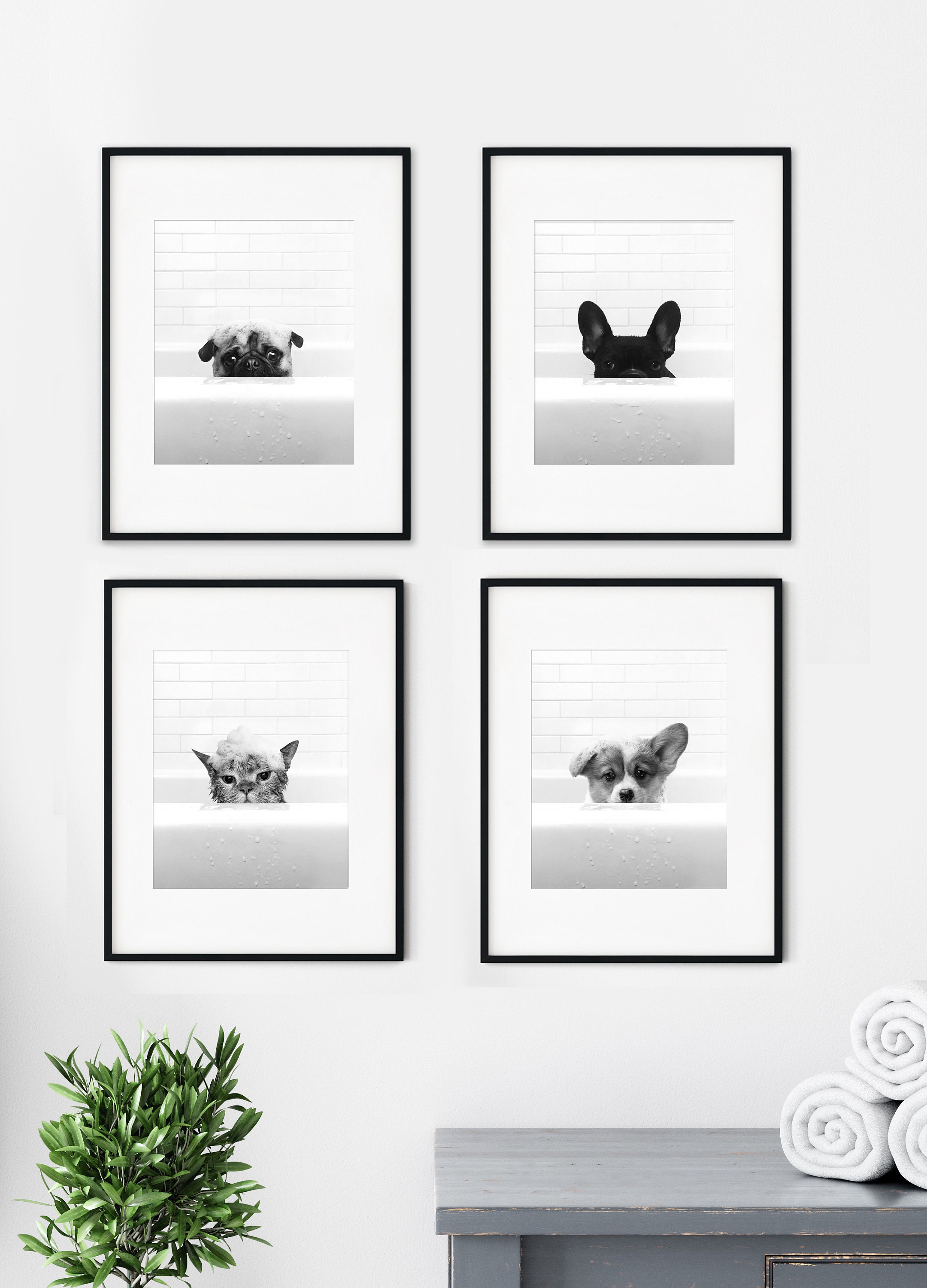 Cat Printable Wall Art | Instant Download | Cat Printable | Cat Lover ...