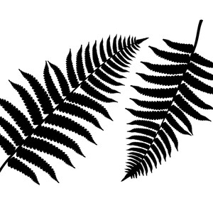 Fern Stems Stencil: Botanical Baking & Craft Stencil - Etsy
