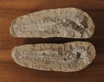 Double Sided Fish - Etsy