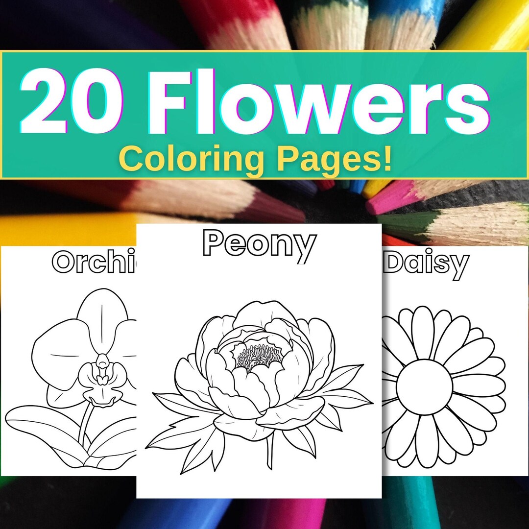 20 Flower Coloring Pages | Toddlers | Children's Activities | Printable ...