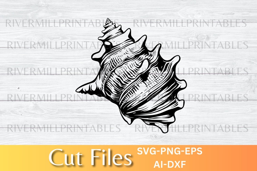 Seashell Sea Shell SVG EPS Cut File PNG Printable Stencil Vector Laser ...