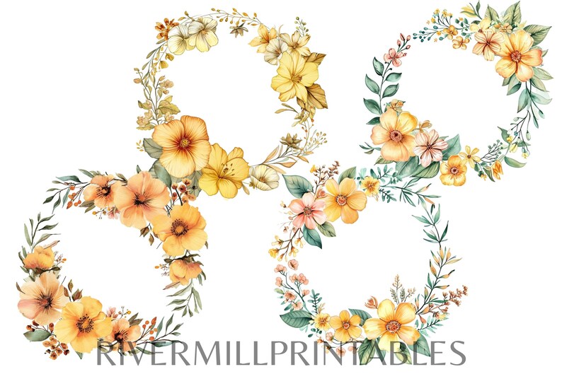 15 Yellow Flower Frames Clipart Images, 300DPI PNG Files, Digital ...