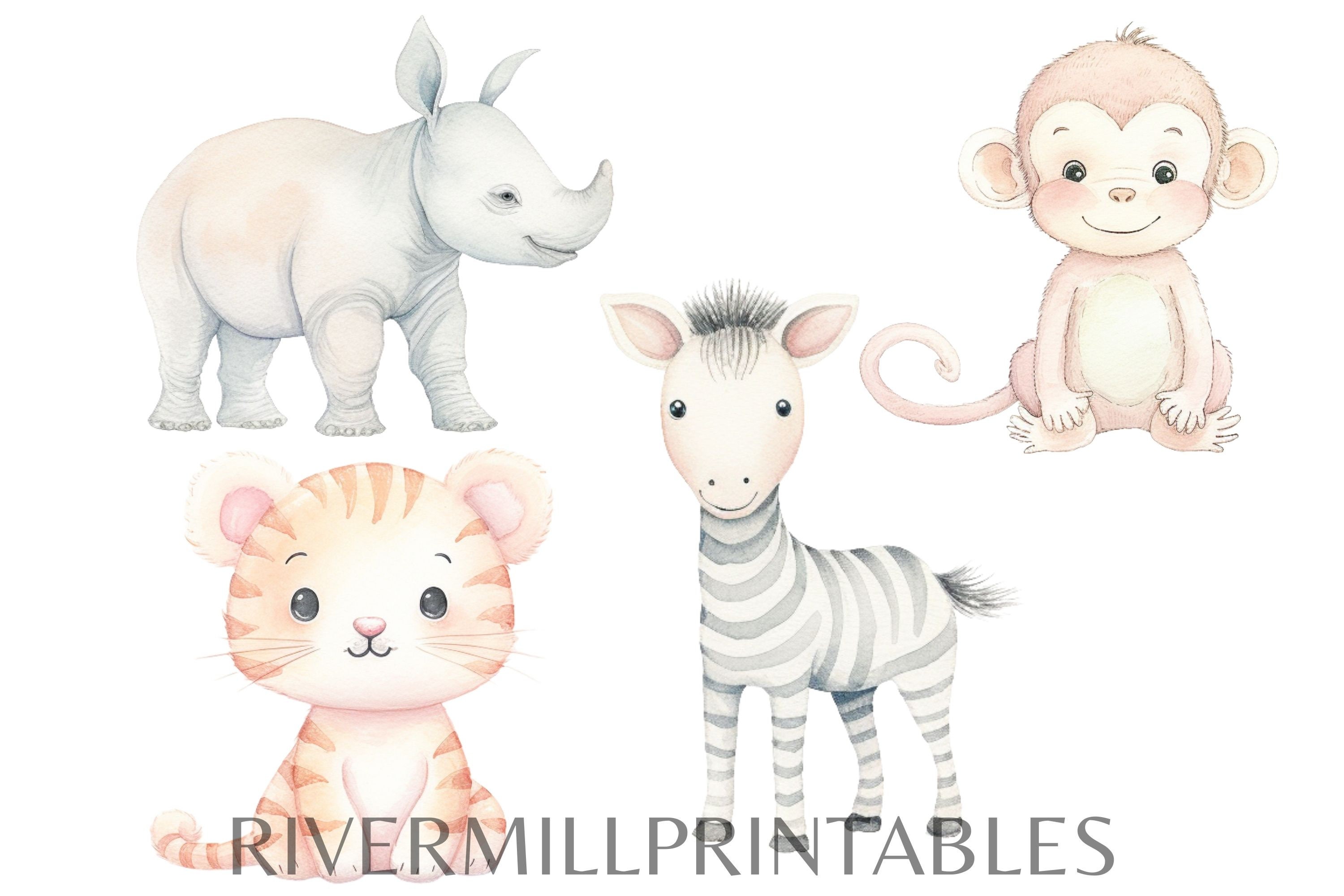 12 Cute Baby Jungle Animals Clipart, 300DPI PNG Files, Digital Download ...