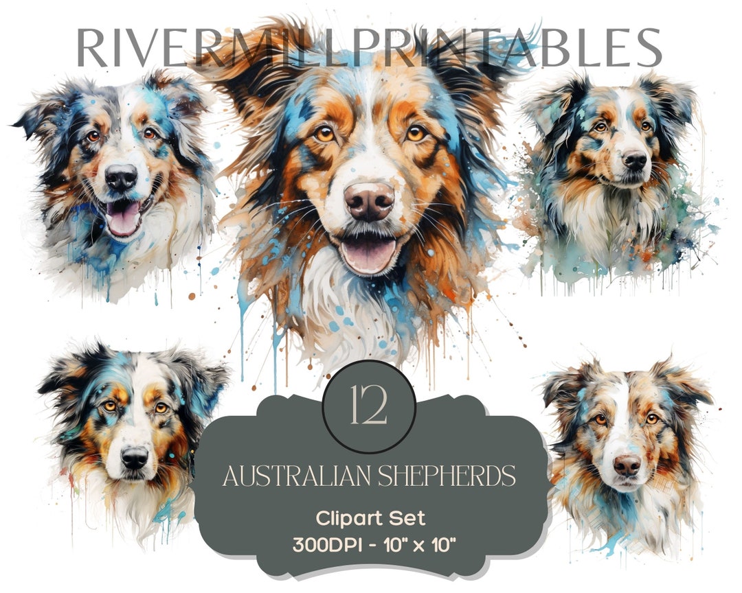 12 Watercolor Australian Shepherd Dogs Clipart, 300DPI PNG Files ...