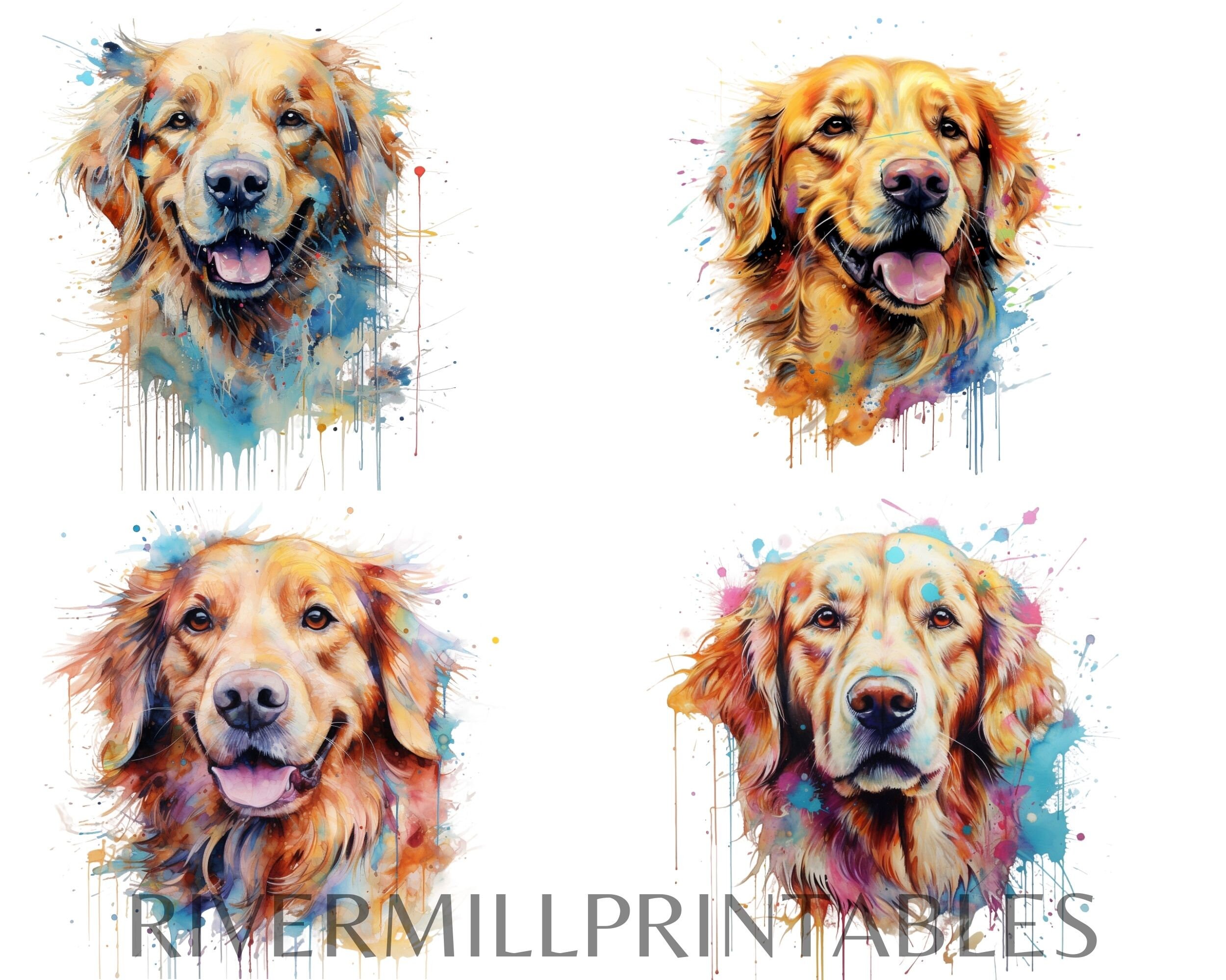 12 Watercolor Golden Retriever Dogs Clipart, 300DPI PNG Files, Digital ...