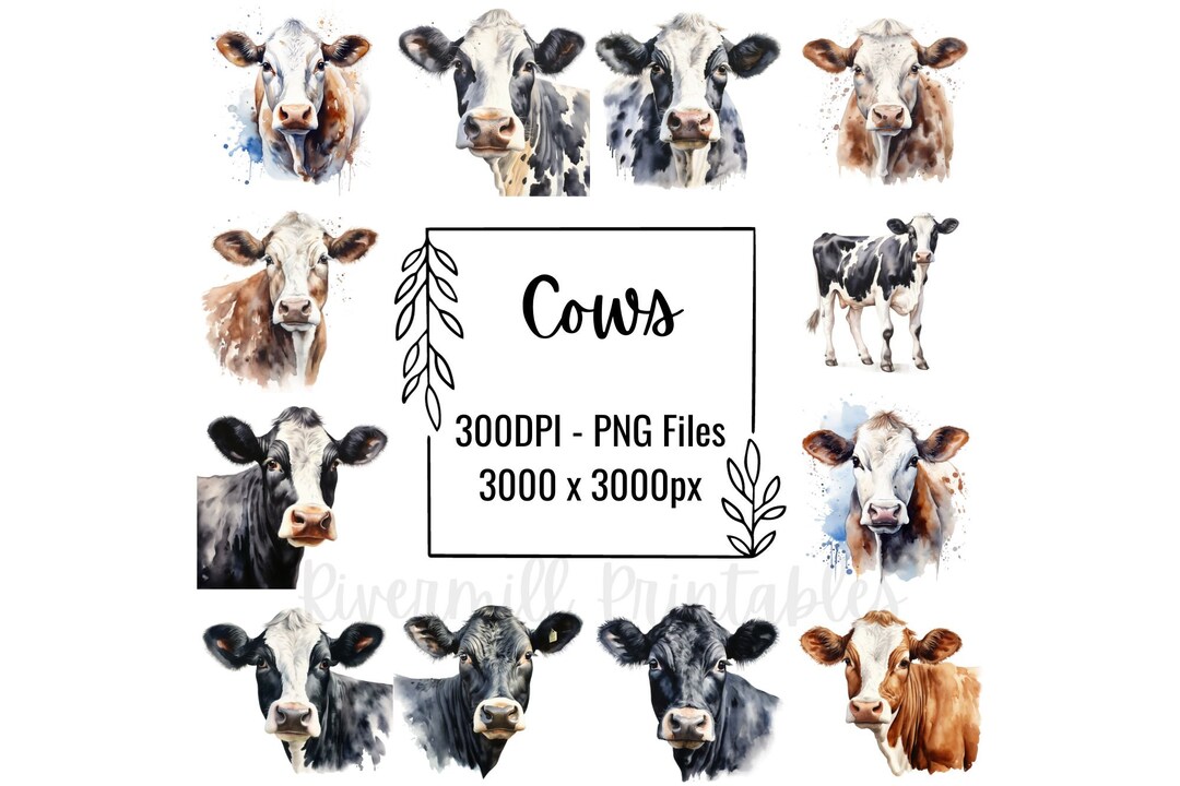 12 Cows Clipart, 300DPI PNG Files, Digital Download Commercial License ...