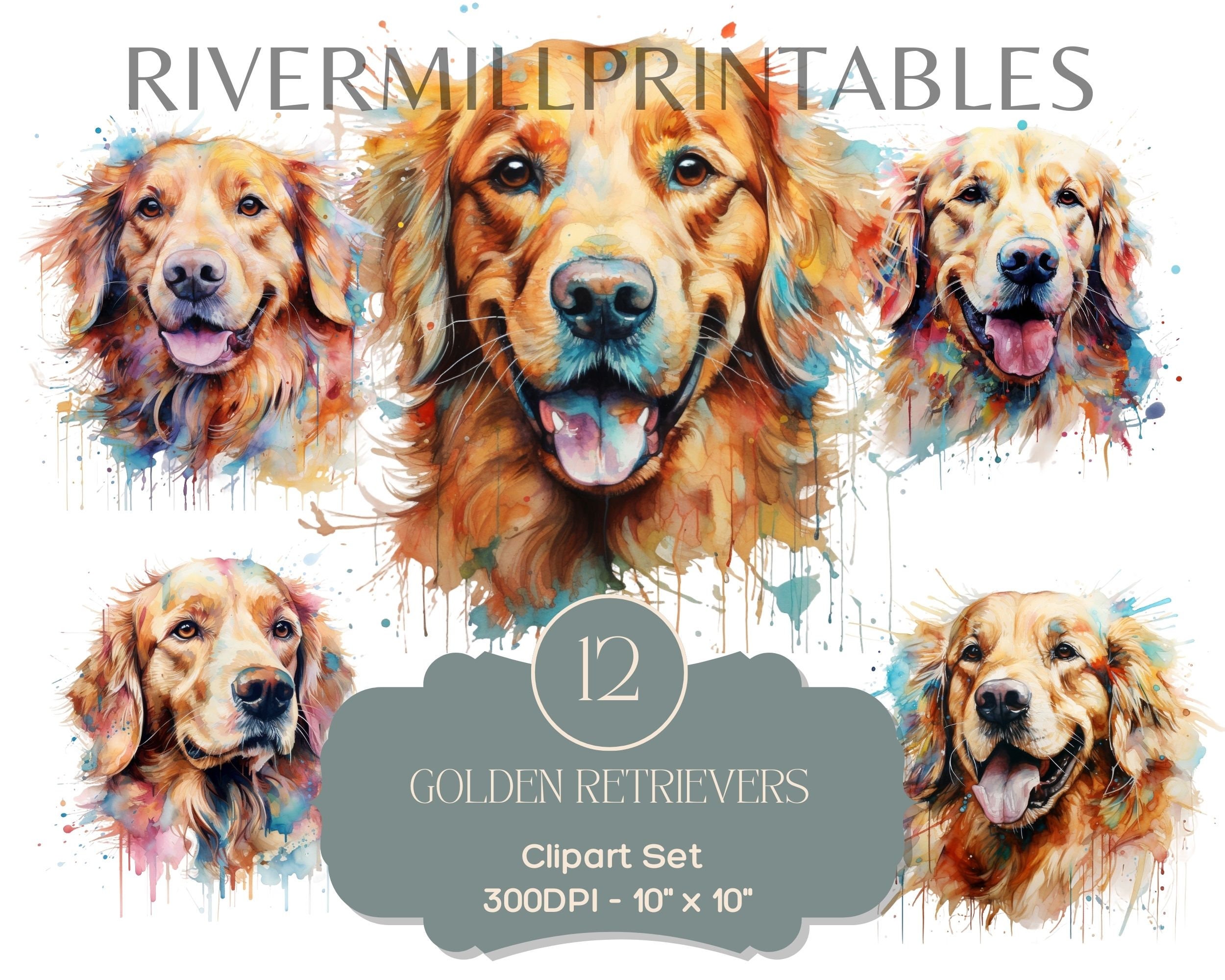 12 Watercolor Golden Retriever Dogs Clipart, 300DPI PNG Files, Digital ...