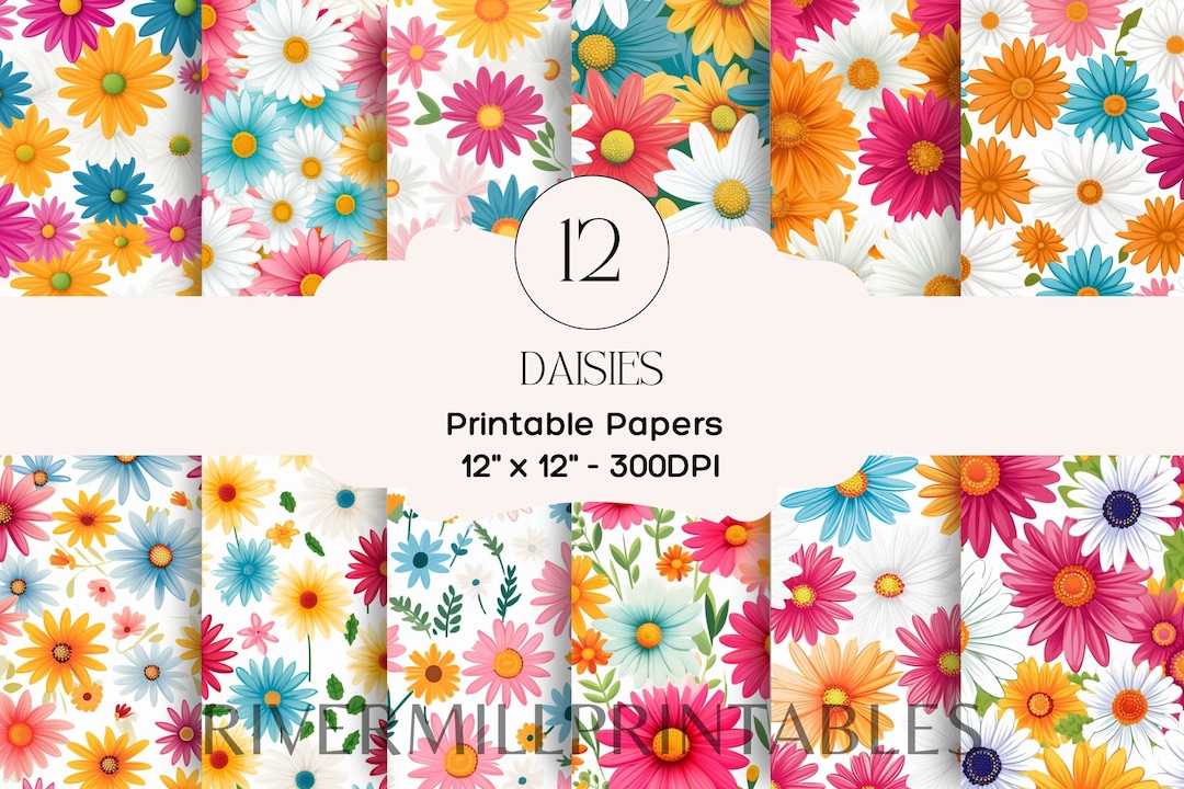 12 Colorful Daisy Flowers Digital Papers, 300DPI JPG Files Digital ...