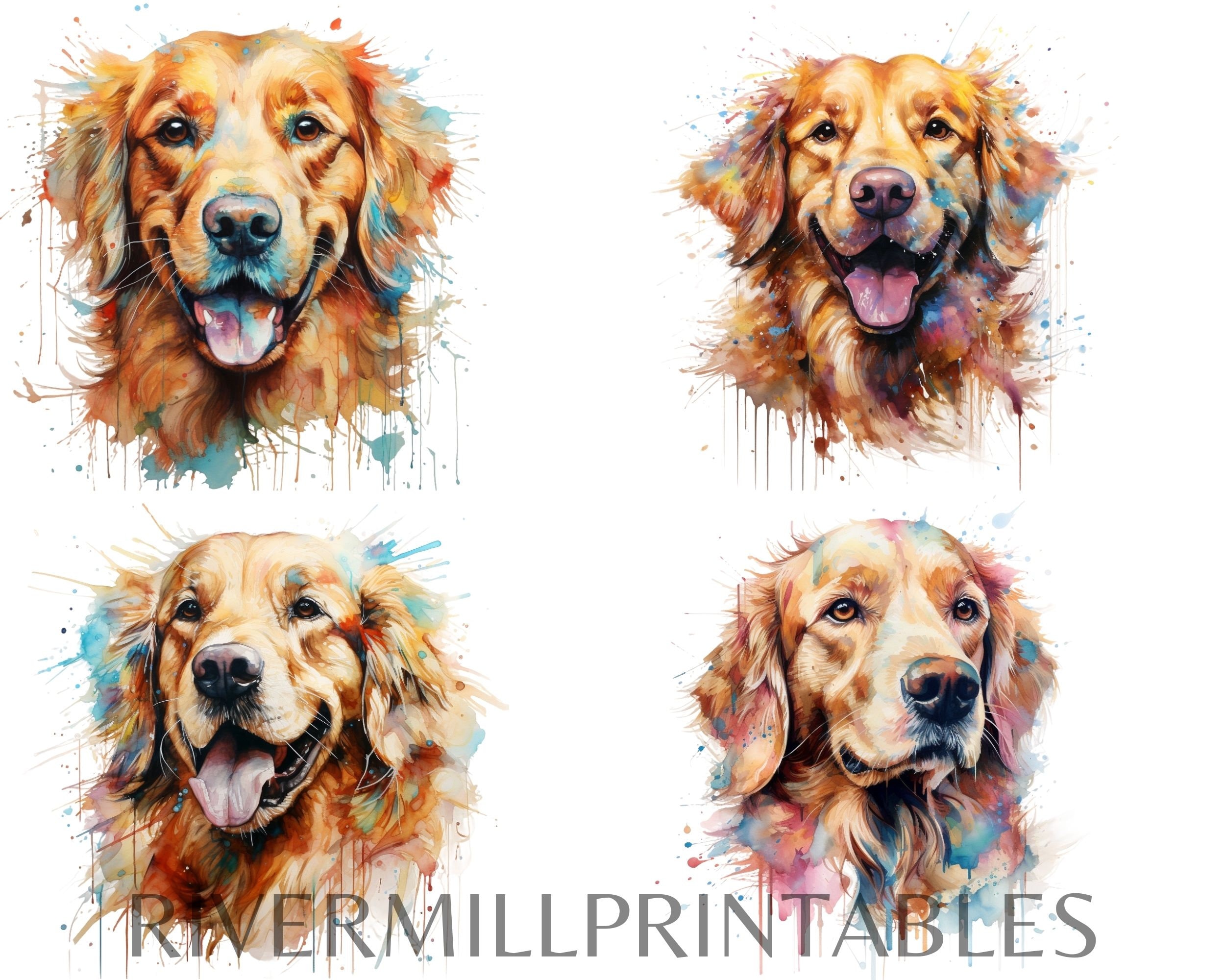 12 Watercolor Golden Retriever Dogs Clipart, 300DPI PNG Files, Digital ...