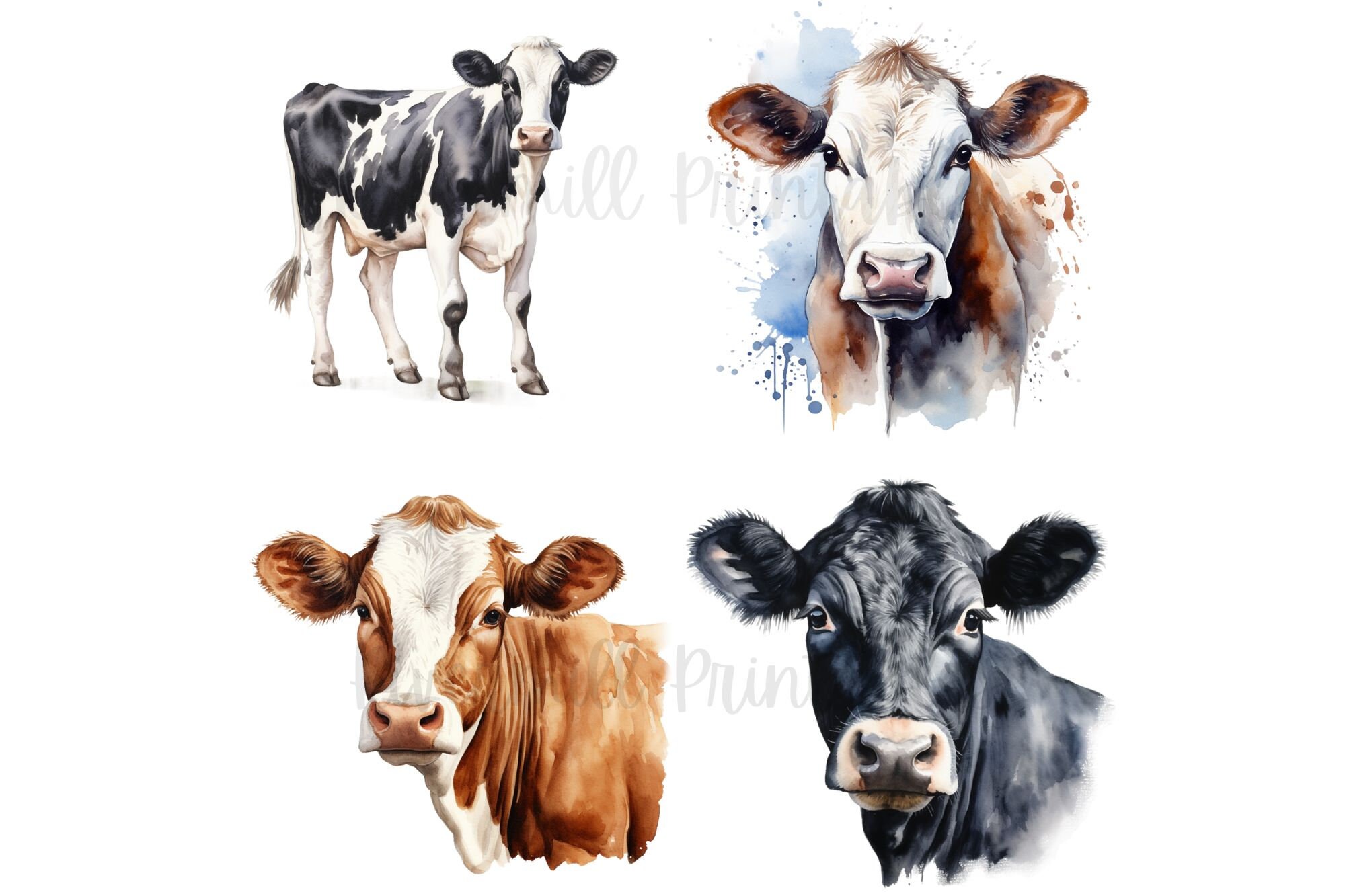 12 Cows Clipart, 300DPI PNG Files, Digital Download Commercial License ...