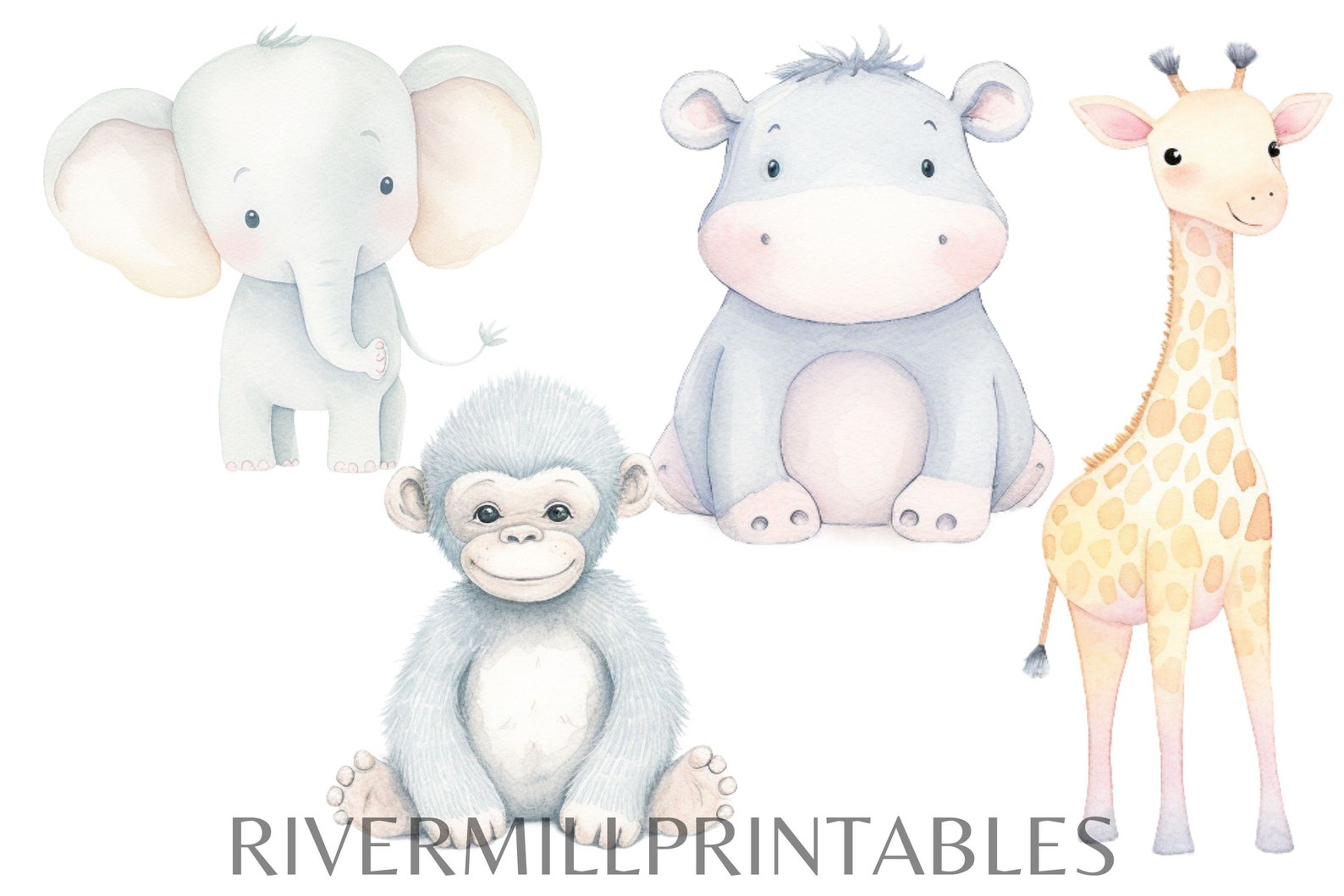 12 Cute Baby Jungle Animals Clipart, 300DPI PNG Files, Digital Download ...