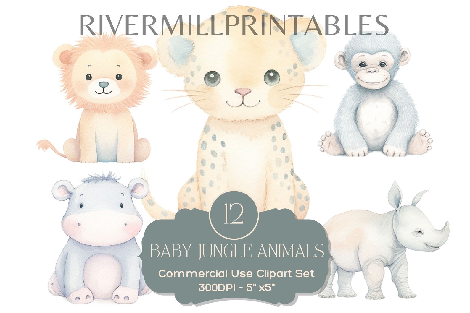 12 Cute Baby Jungle Animals Clipart, 300DPI PNG Files, Digital Download ...
