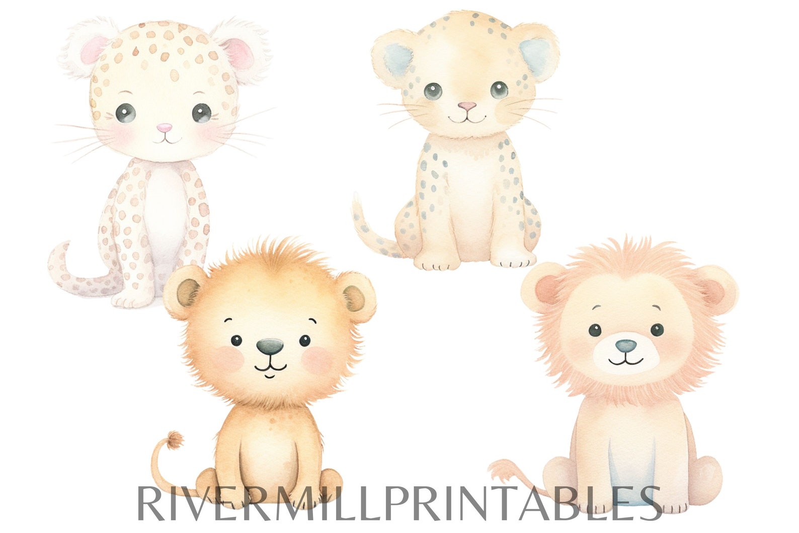 12 Cute Baby Jungle Animals Clipart, 300DPI PNG Files, Digital Download ...