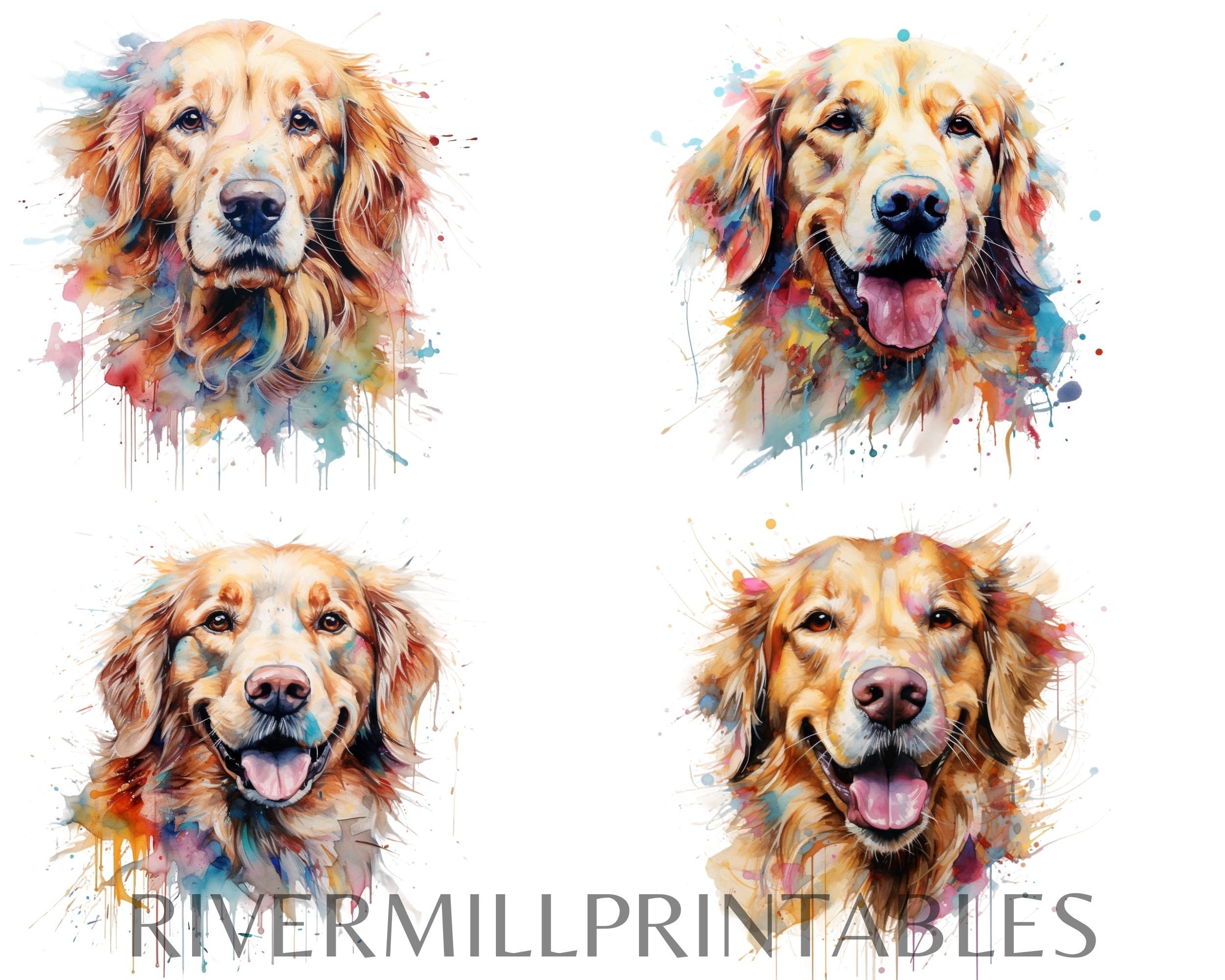 12 Watercolor Golden Retriever Dogs Clipart, 300DPI PNG Files, Digital ...