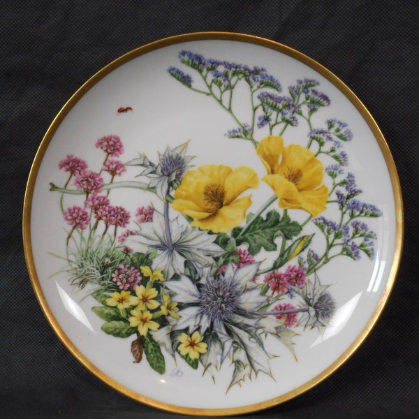 German Porcelain - Etsy