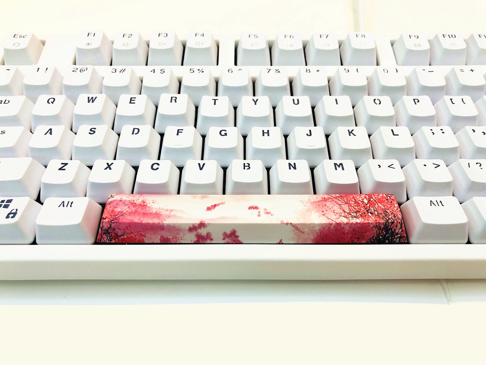 6.25X Spacebar Keycap Sakura Pink Flower Painting Colorful - Etsy
