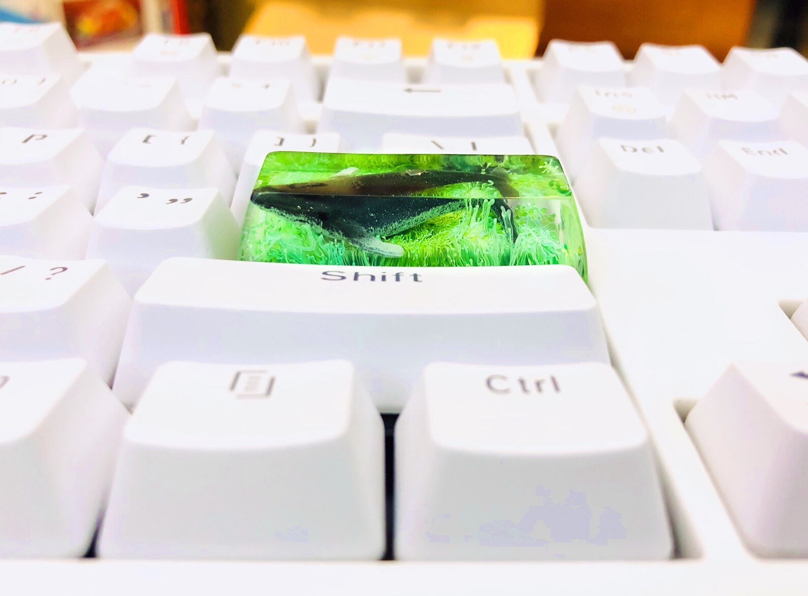 SA 2.25X Enter Left Shift Keycap 52 Hertz Whale Handmade Whale | Etsy