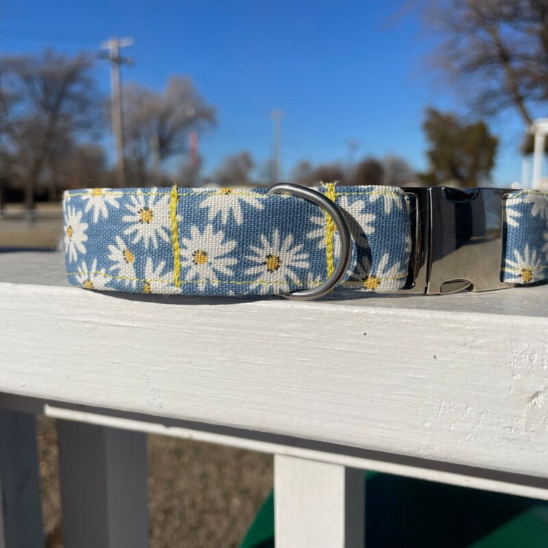 Cute Dog Collar - Etsy