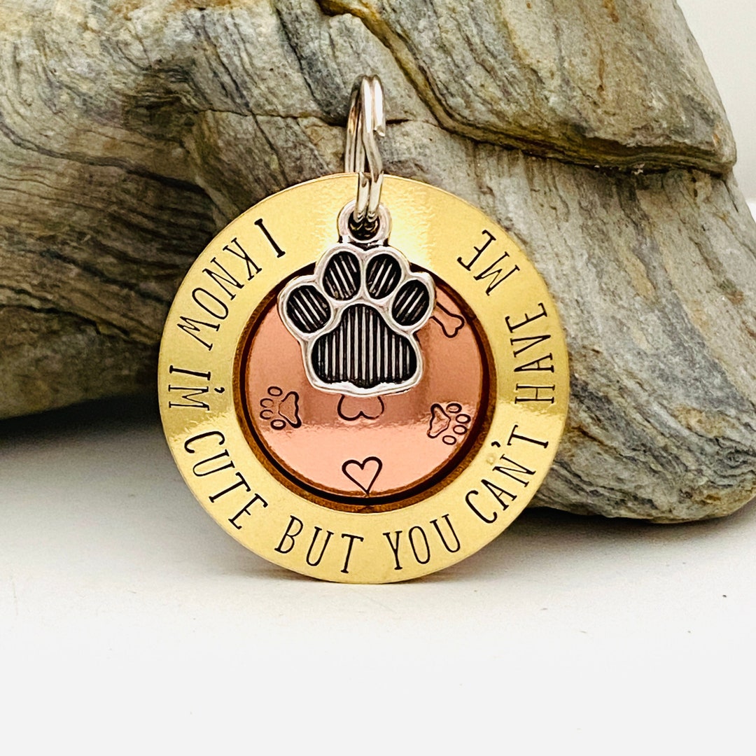 Dog Tags for Dogs, Custom Pet ID Tag, Personalised Dog Name Tag, Cute ...