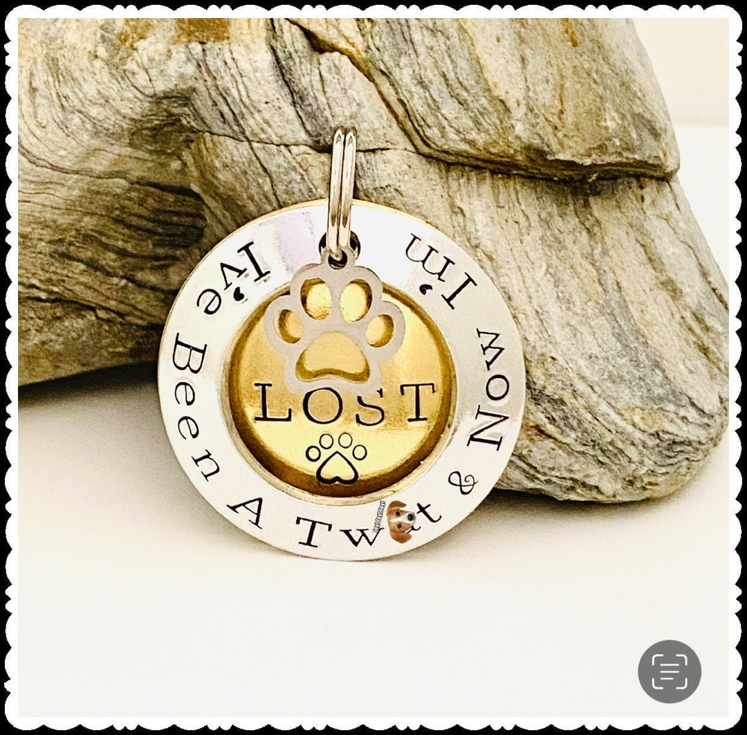 Personalised Dog Id Tag, Funny Dog Tag For Dogs, Rude Dog Tag, Lost Dog ...