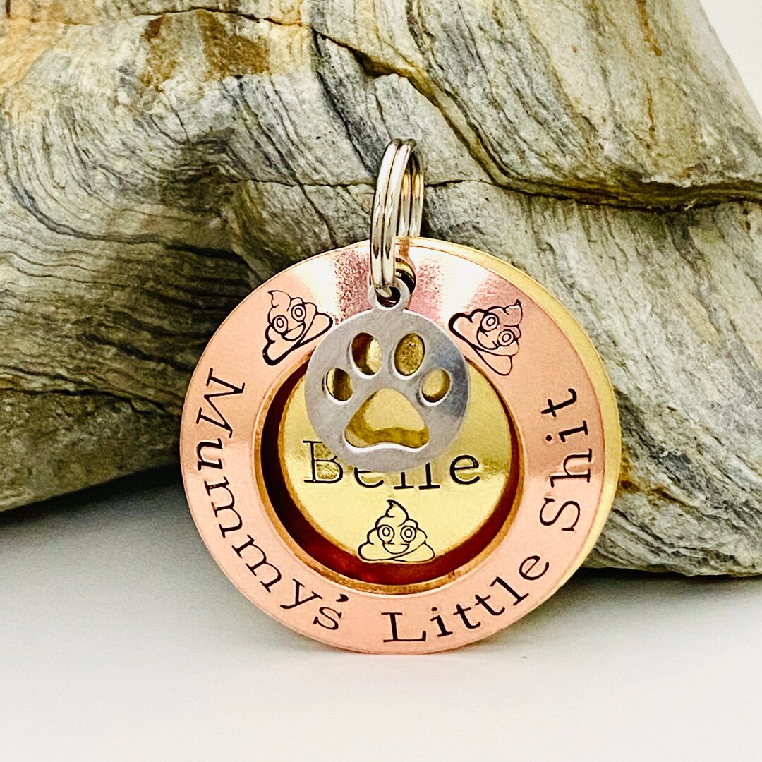 Dog Tag, Dog Collar Name Tag, Custom Dog Tag, Gift for Pets, Funny Dog ...