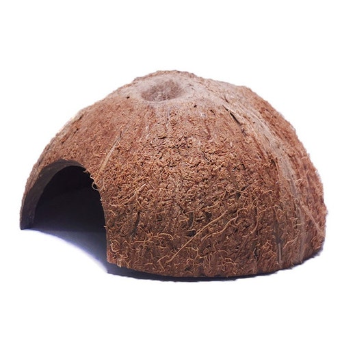 Aquarium Cave Coconut Shell Cave / Hide Pleco Cave Shrimp - Etsy