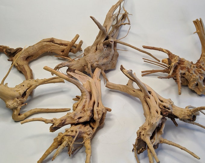 BUY 2 GET 1 FREE Spiderwood Natural Driftwood Aquarium Terrarium Decor ...
