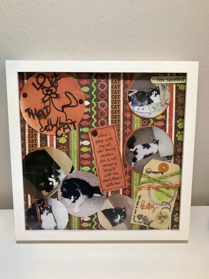 Custom Pet Shadow Box Memorial Photo Cat Dog Holder Any Animal - Etsy