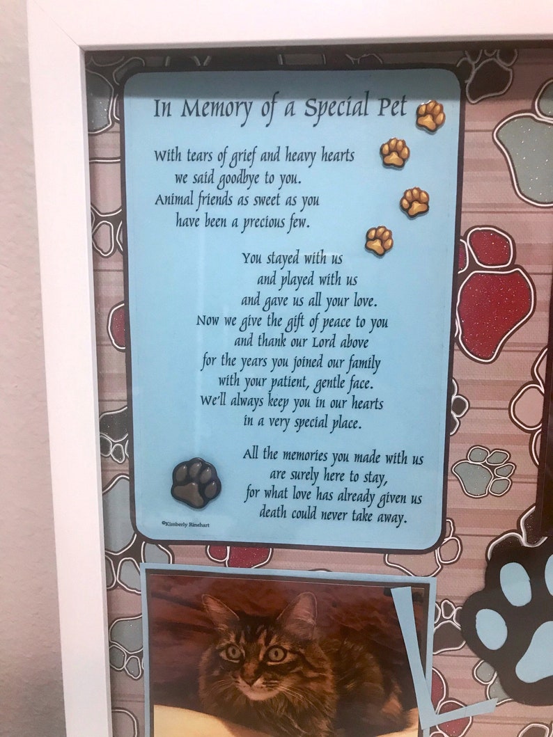 Custom Pet Shadow Box Memorial Photo Cat Dog Holder Any Animal - Etsy