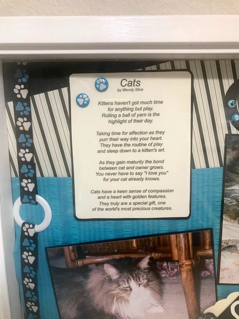 Custom Pet Shadow Box Memorial Photo Cat Dog Holder Any Animal - Etsy