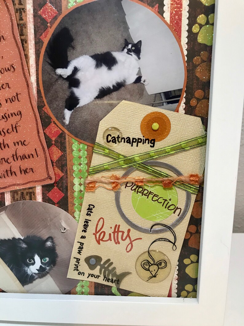 Custom Pet Shadow Box Memorial Photo Cat Dog Holder Any Animal | Etsy