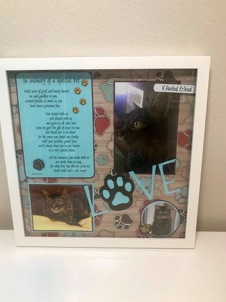 Custom Pet Shadow Box Memorial Photo Cat Dog Holder Any Animal - Etsy