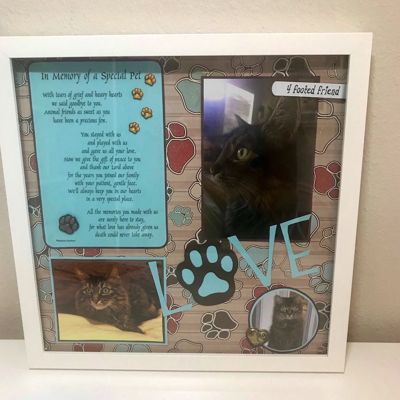 Pet Memorial Shadow Box - Etsy