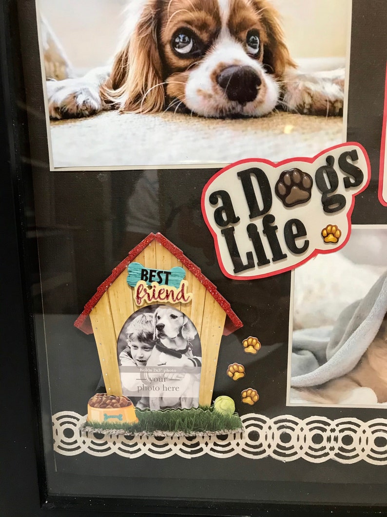 Custom Pet Shadow Box Memorial Photo Cat Dog Holder Any Animal - Etsy