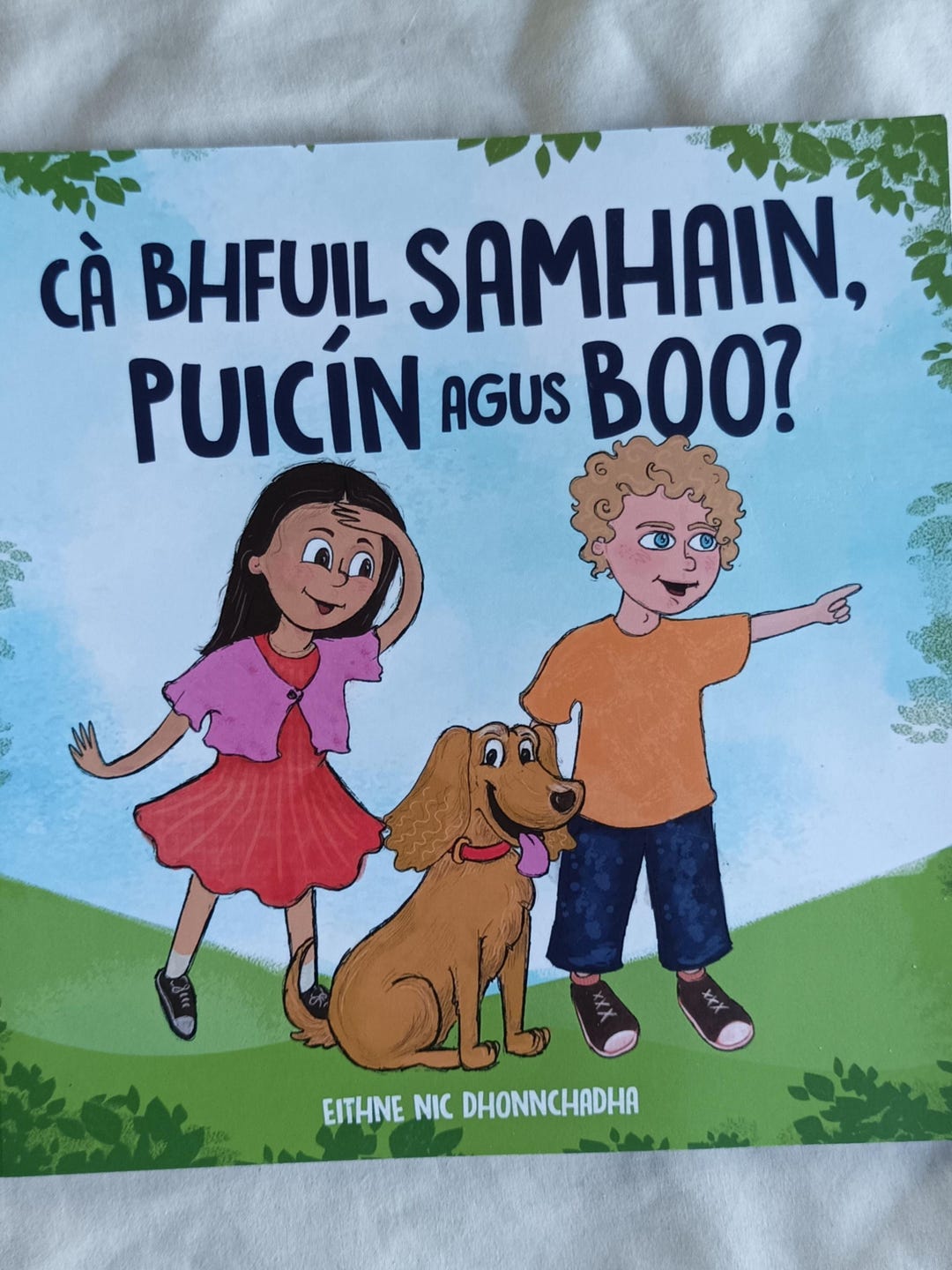 Rare Irish Language Kids Book: Lost Cat Story - Out of Print - Etsy